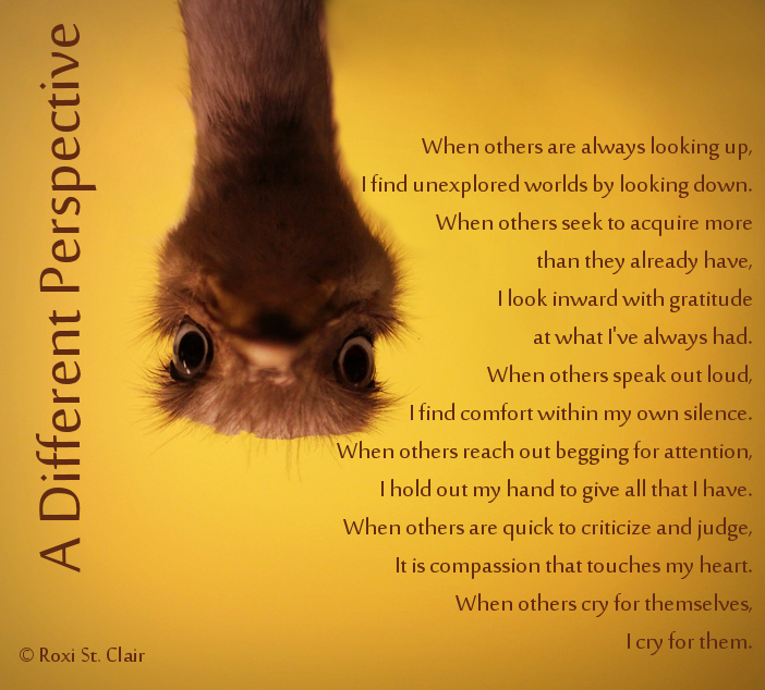* A Different Perspective – Find Your Middle Ground