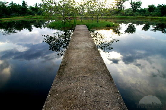 Inspiration – the Middle Way – Find Your Middle Ground
