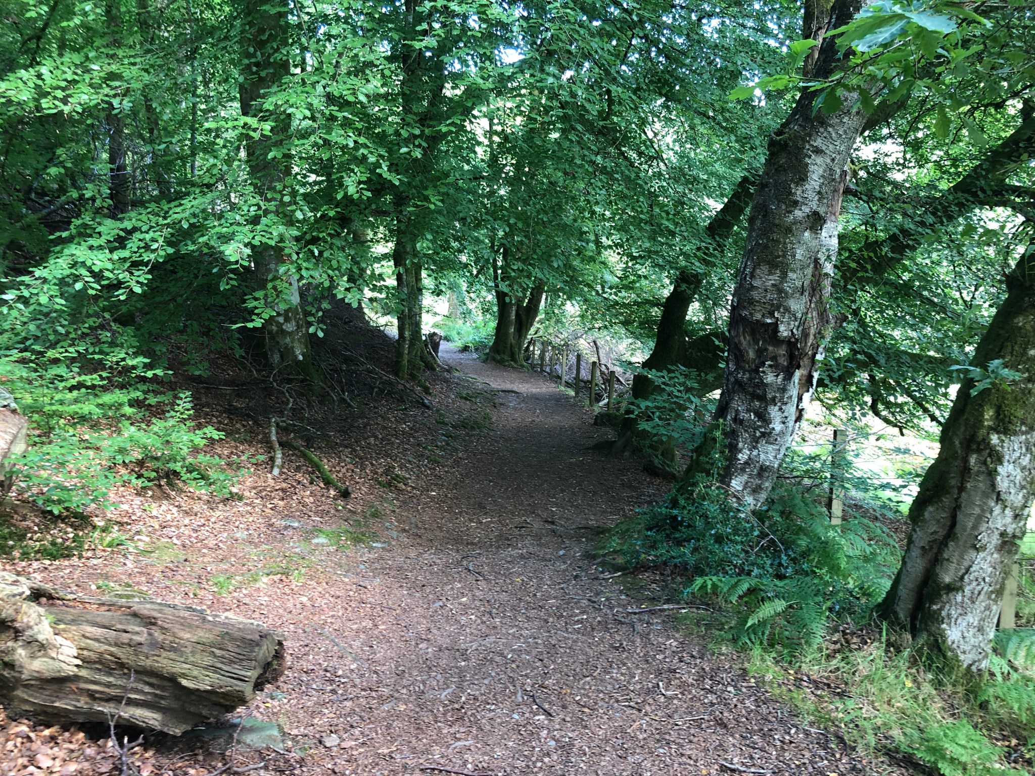 Take Refuge in Your Senses – Find Your Middle Ground