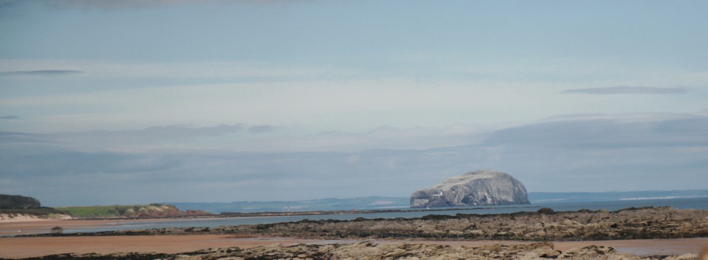 Find Your Middle Ground – Living From the Center of Your Being